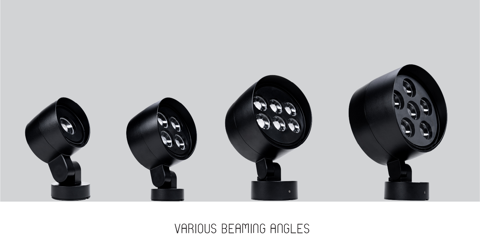 HOLLY LED Pole Light